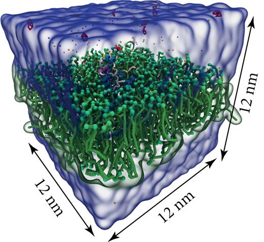 A Practical Introduction to Martini 3 and its Application to Protein ...
