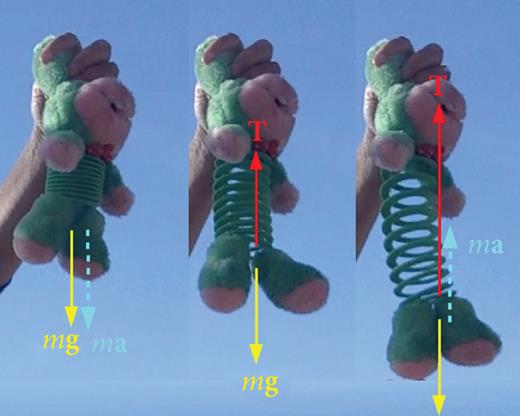 Newton's Laws: Motion and Forces | Physics for the Whole Body in ...