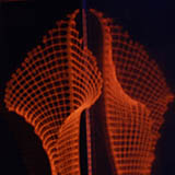 Printed shape-morphing materials | Physics Today | AIP Publishing