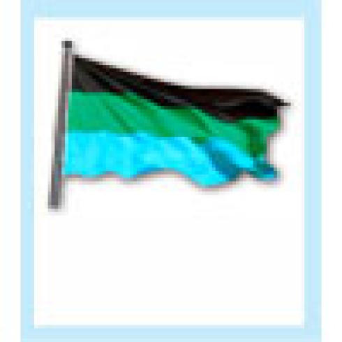 Wrinkled roaches and flapping flags | Physics Today | AIP Publishing