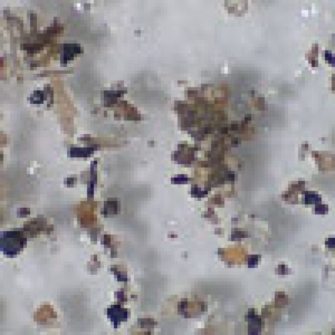 Philip Sadler Named as Recipient of the 2012 Robert A. Millikan Medal ...