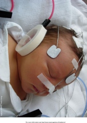 Newborn babies feel the beat | Physics Today | AIP Publishing