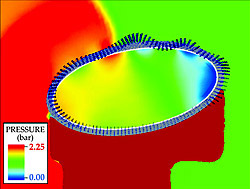 Skulls flex, damage brain, under battlefield explosions | Physics Today ...