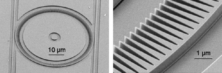 Light loops around (and around) an optical Möbius strip | Physics Today ...