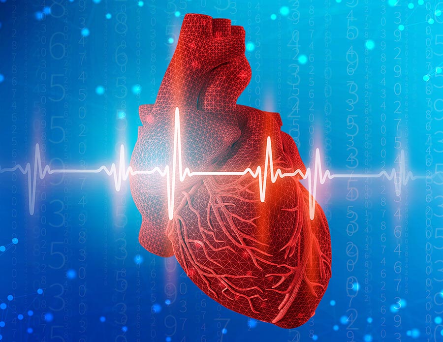 The subtle math of a heartbeat gone wrong | Physics Today | AIP Publishing