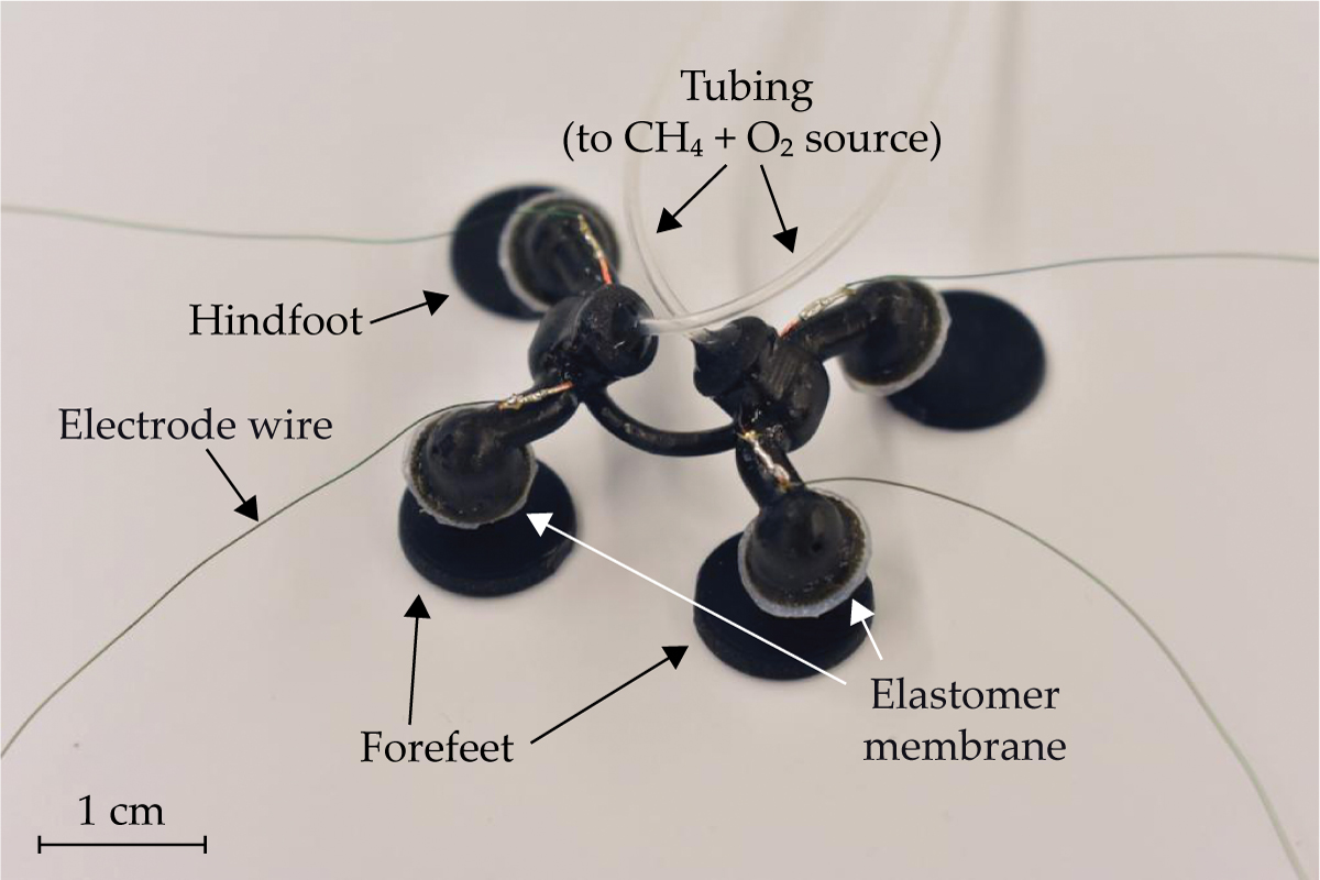Insect-scale robots powered by combustion | Physics Today | AIP Publishing Insect-scale robots powered by combustion | Physics Today | AIP Publishing
