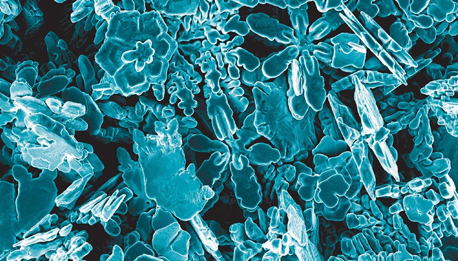 The year in Back Scatter | Physics Today | AIP Publishing