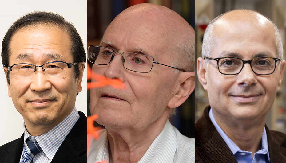 Physics Today | AIP Publishing