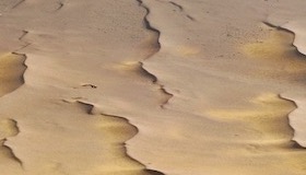 How to build megaripples of sand | Physics Today | AIP Publishing