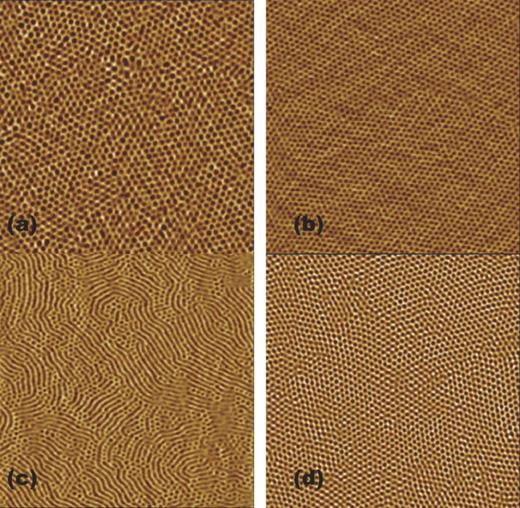Effects of substrate-blocks interactions on the phase behaviors of ...