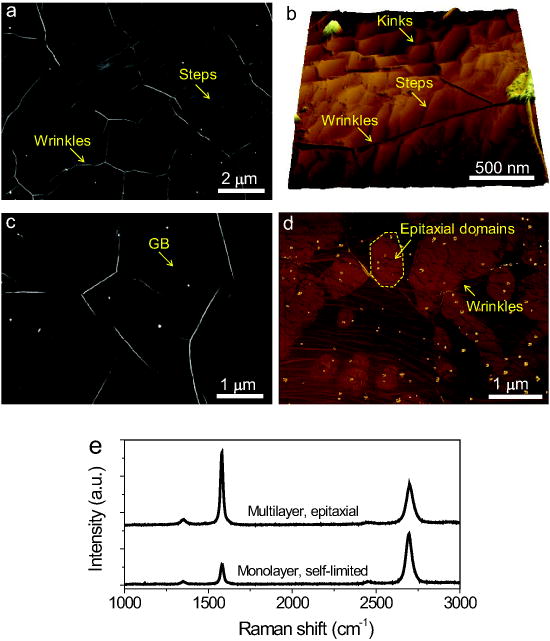 Step driven competitive epitaxial and self-limited growth of graphene ...