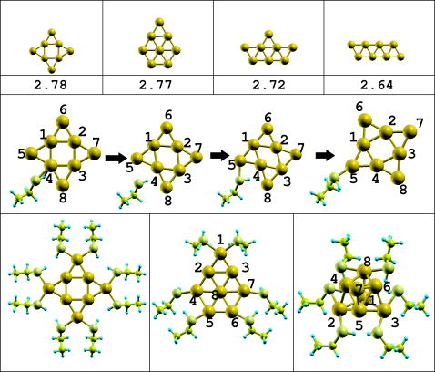 A first principles density functional investigation of ligand-protected ...