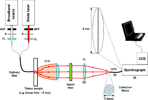 A novel non-imaging optics based Raman spectroscopy device for ...