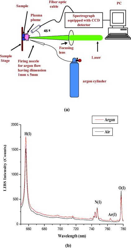 Characterization of organic materials by LIBS for exploration of ...