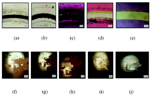 Surface chemical modification for exceptional wear life of MEMS ...