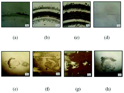 Surface chemical modification for exceptional wear life of MEMS ...