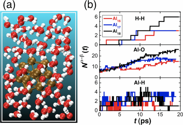 Effects of solvation shells and cluster size on the reaction of ...