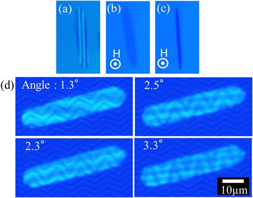 Magnetic field control of moiré fringes on guanine crystal plate ...