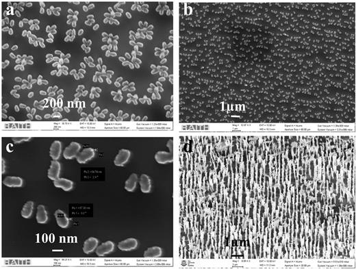 Photonic integration of uniform GaAs nanowires in hexagonal and ...