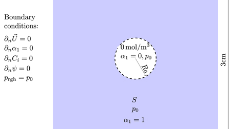 Modeling interfacial mass transfer driven bubble growth in supersaturated solutions | AIP ...