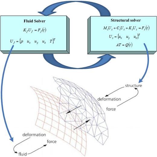 Analysis of aerodynamic characteristics of flexible flapping flap with bidirectional fluid ...