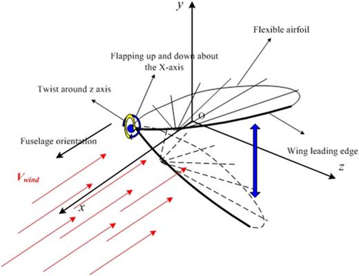 Analysis of aerodynamic characteristics of flexible flapping flap with ...