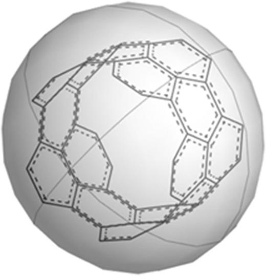 Study of mass transfer behavior in positive electrode of lithium air ...