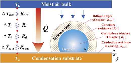 Heat transfer model based on diffusion layer theory for dropwise ...