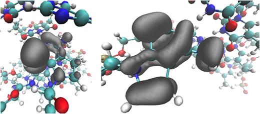 High-temperature, solvent-induced proton transfer and double proton ...