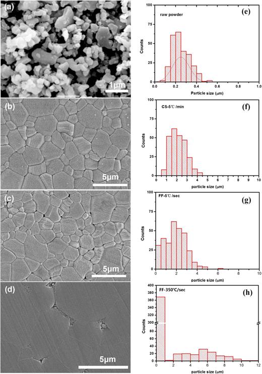 Densification mechanism of the ultra-fast sintering dense alumina | AIP ...
