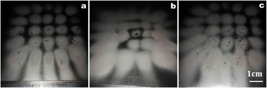 Highly efficient air-assisted multi-jet electrospinning with curved ...
