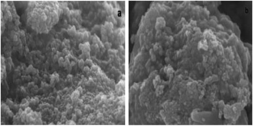 The effect of reaction temperature and time on CuInSe2 quantum dots by solvothermal method | AIP ...