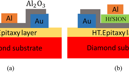 Hydrogen-terminated diamond field-effect transistor with a bilayer ...