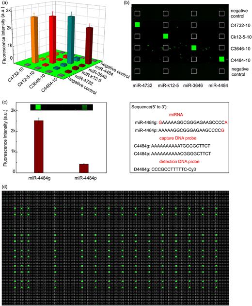 Microfluidic chip for multiple detection of miRNA biomarkers in breast ...
