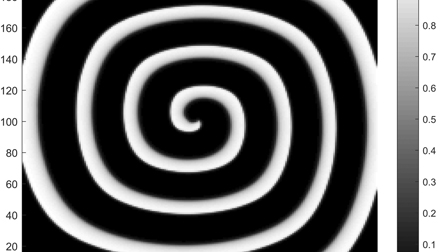 Dynamic behaviors of spiral waves in cardiac tissue under ...