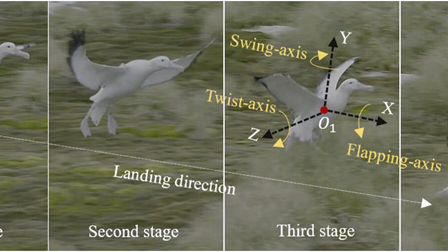Design and experiment of a bionic flapping wing mechanism with flapping–twist–swing motion based ...