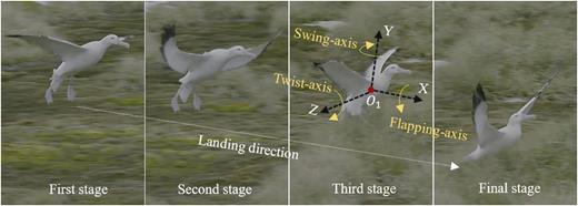 Design and experiment of a bionic flapping wing mechanism with flapping–twist–swing motion based ...