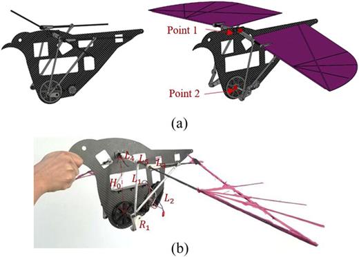 Design and experiment of a bionic flapping wing mechanism with flapping–twist–swing motion based ...
