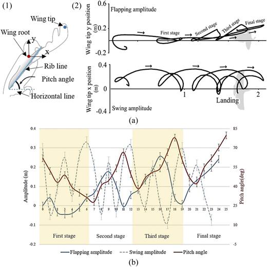 Design and experiment of a bionic flapping wing mechanism with flapping ...
