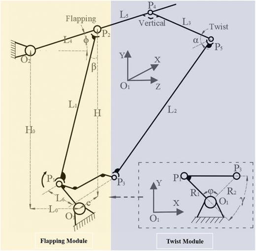Design and experiment of a bionic flapping wing mechanism with flapping–twist–swing motion based ...