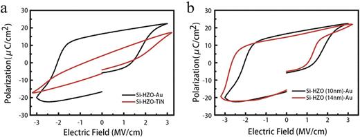 MoS2-based ferroelectric field-effect transistor with atomic layer ...
