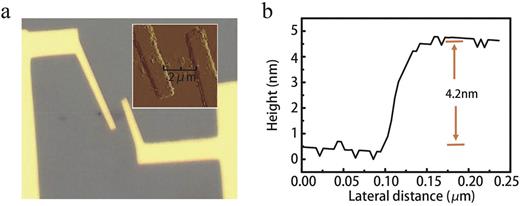 MoS2-based ferroelectric field-effect transistor with atomic layer ...