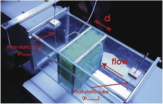 Wind load prediction on single tree with integrated approach of L ...