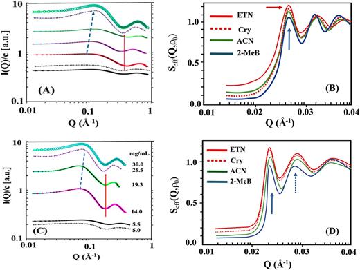 Formation and structures of tyrocidine B oligomers in solution in the ...