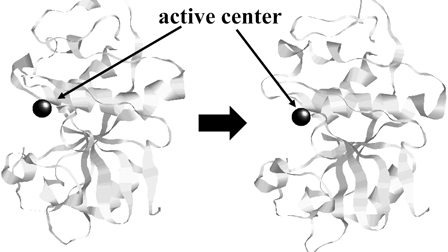 Analysis of properties of thermally deformed protein structure by using ...