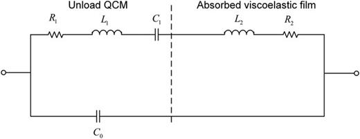 BVD model for QCM loaded by viscoelastic film in gas phase application ...