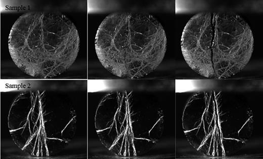 Study on fracture shape distribution characteristics and ...