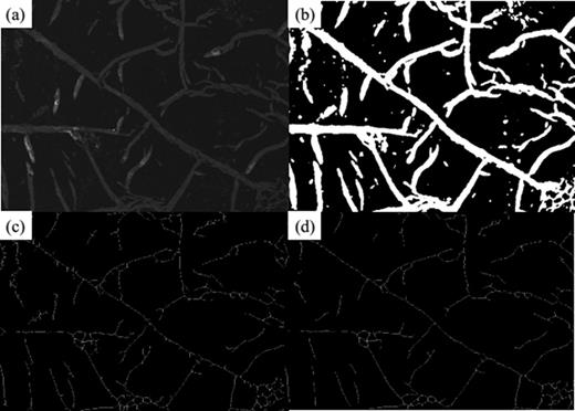 Study on fracture shape distribution characteristics and ...