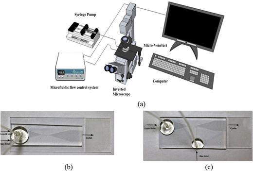 Monodispersed microbubble production using modified micro-Venturi ...