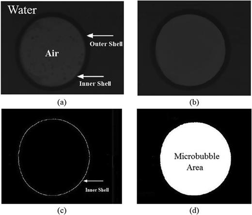 Monodispersed microbubble production using modified micro-Venturi ...